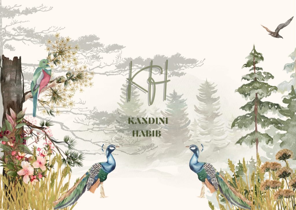 Portofolio – Invipro